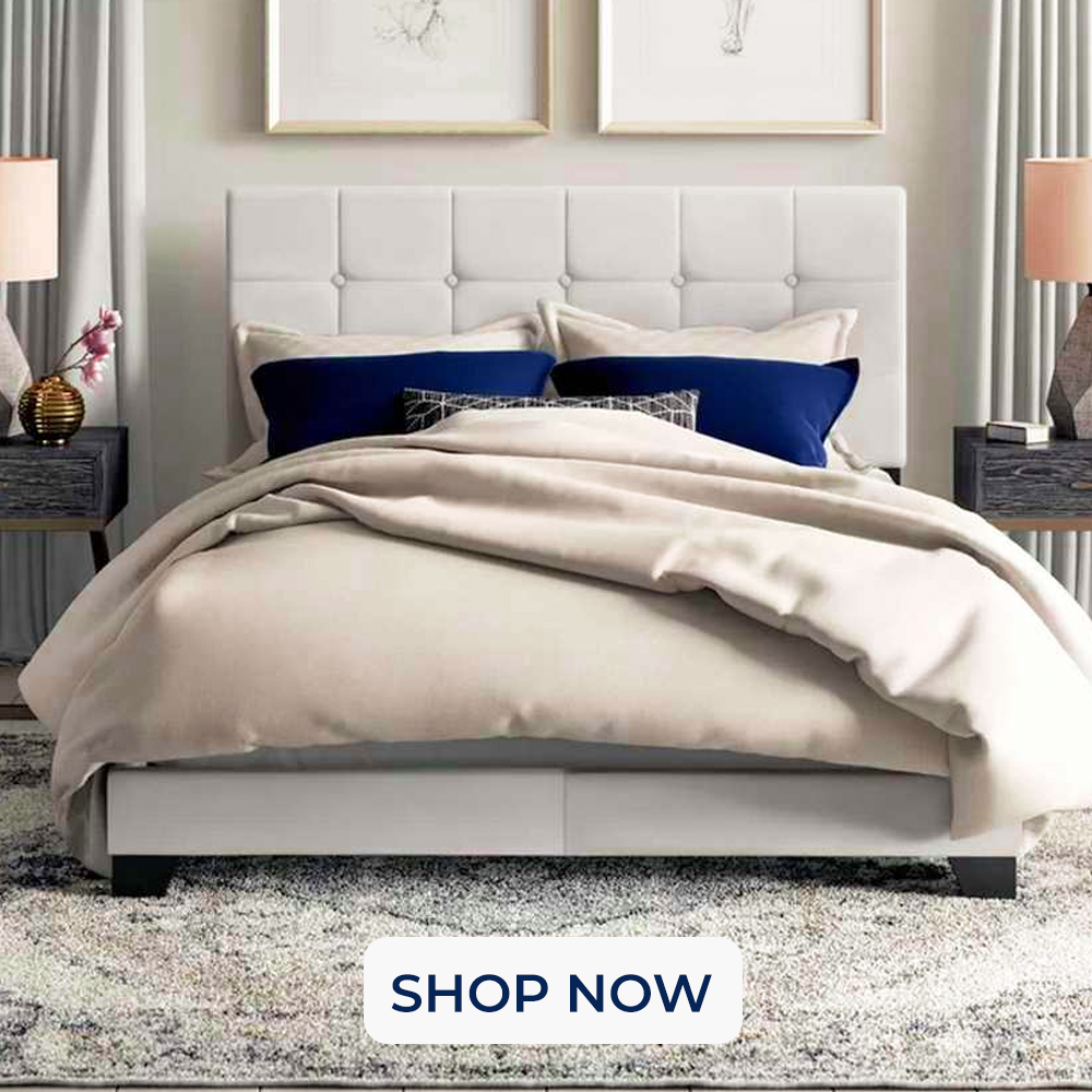 Chic Homz for furniture and home decor products